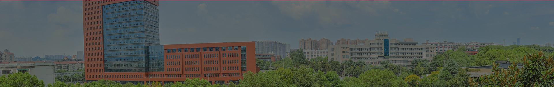 周新民_学院领导_学院概况_人工智能与先进计算学院